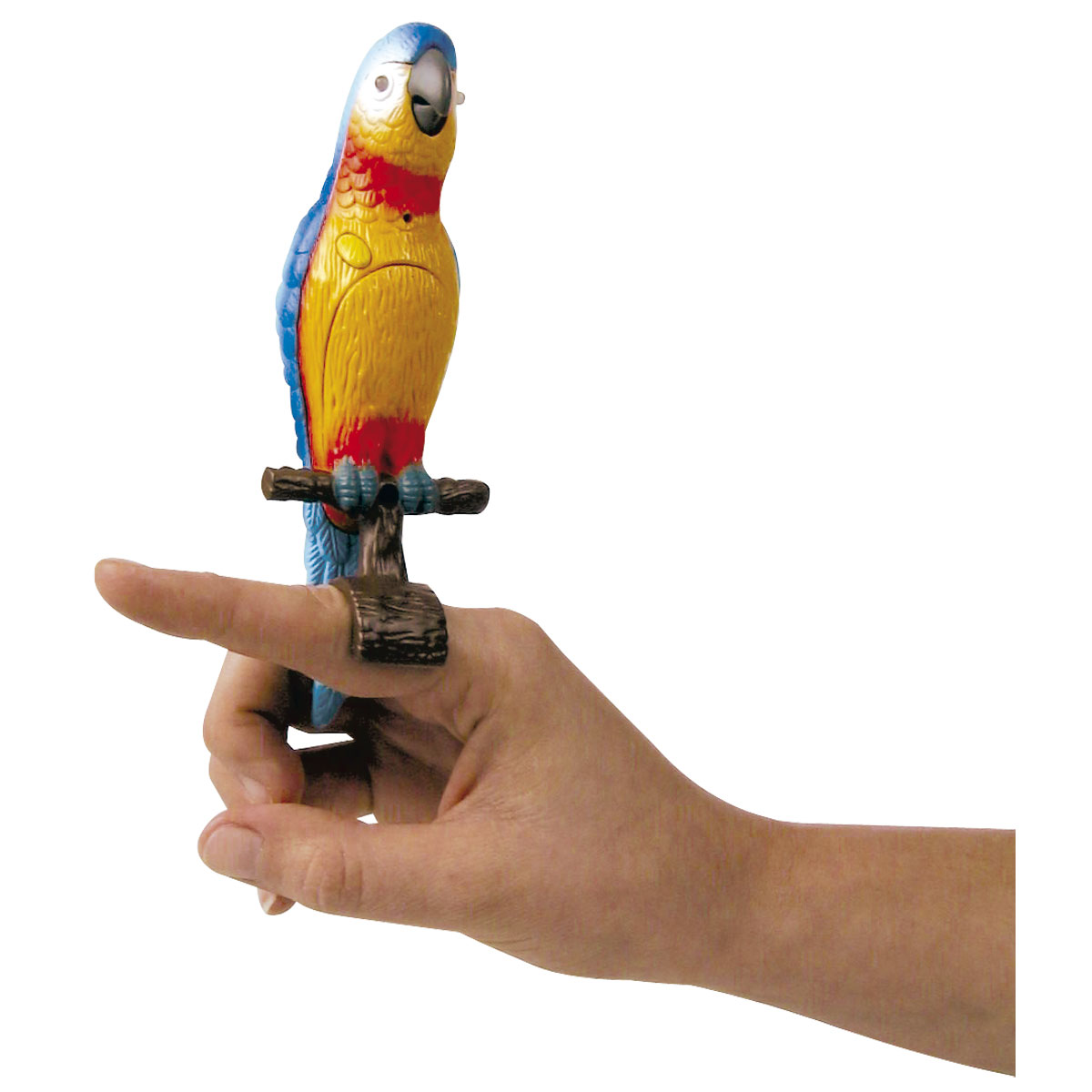 Talking Polly Parrot | Older Kids Age 11+ | Mulberry Bush