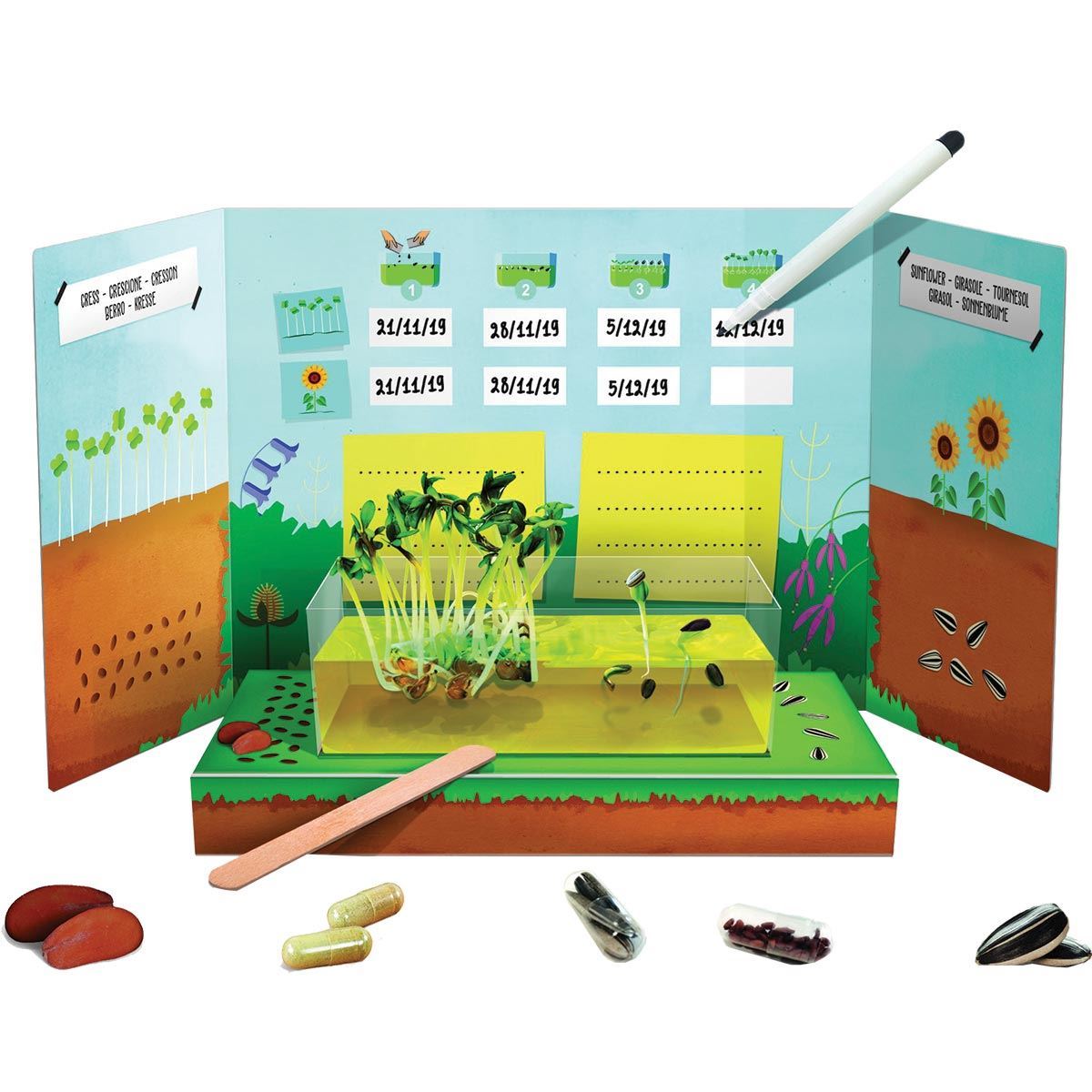 Garden Growing Diary | Headu | Science | Mulberry Bush