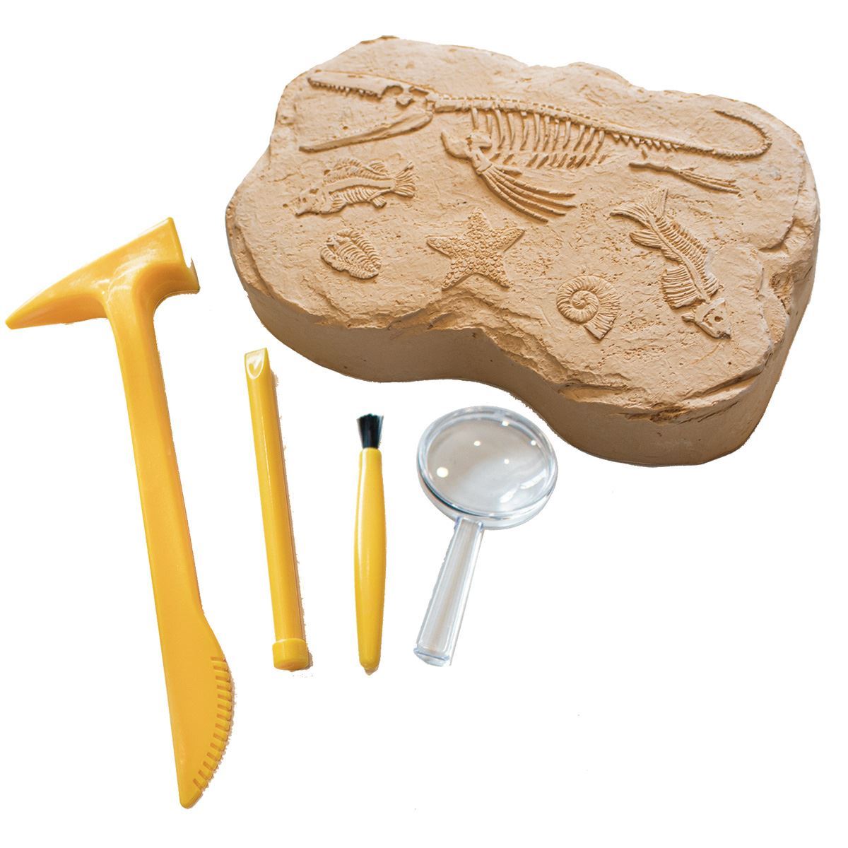 GeoSafari Fossil Excavation Kit | Learning Resources